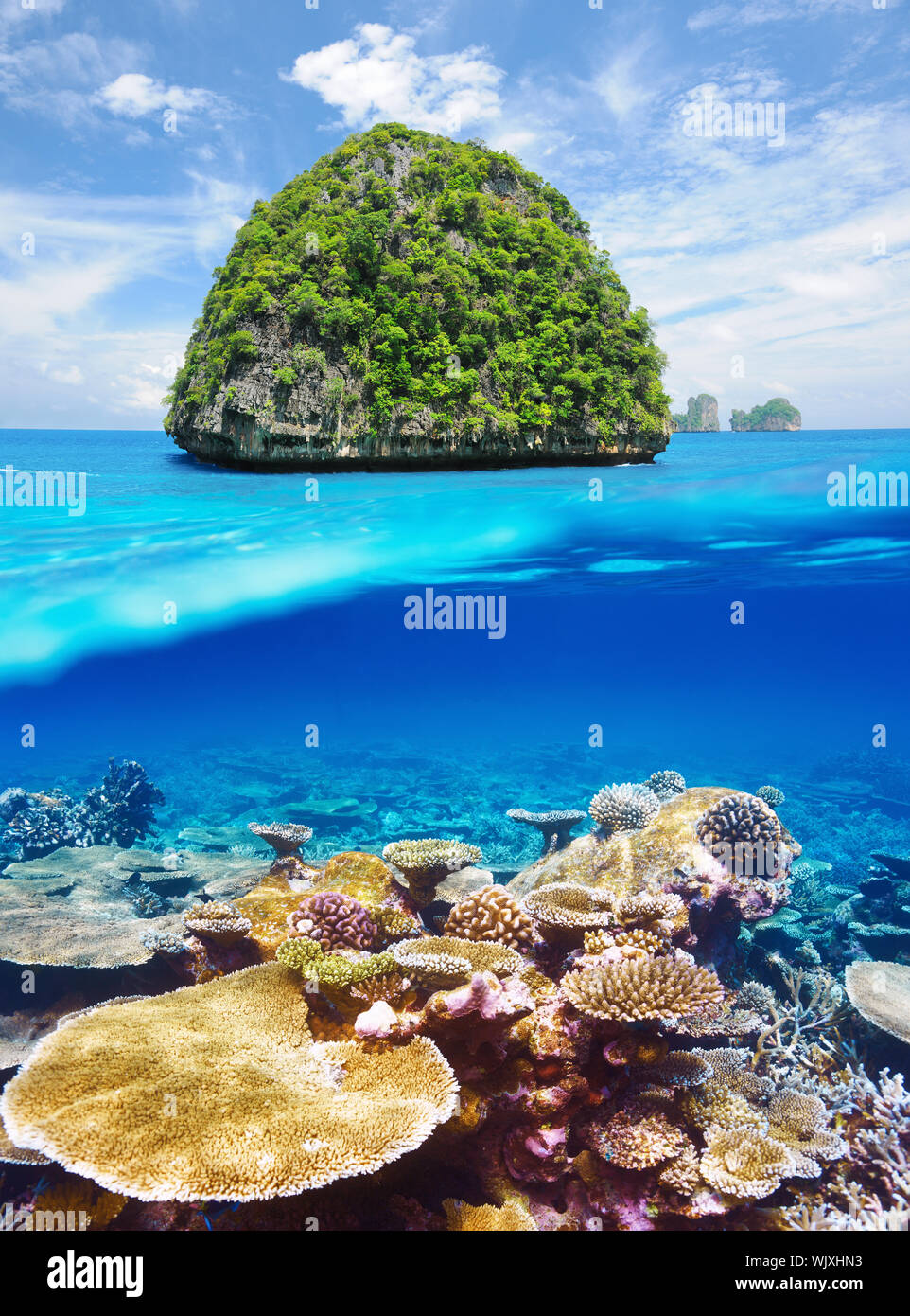 Beautiful uninhabited island in Thailand with coral reef bottom ...