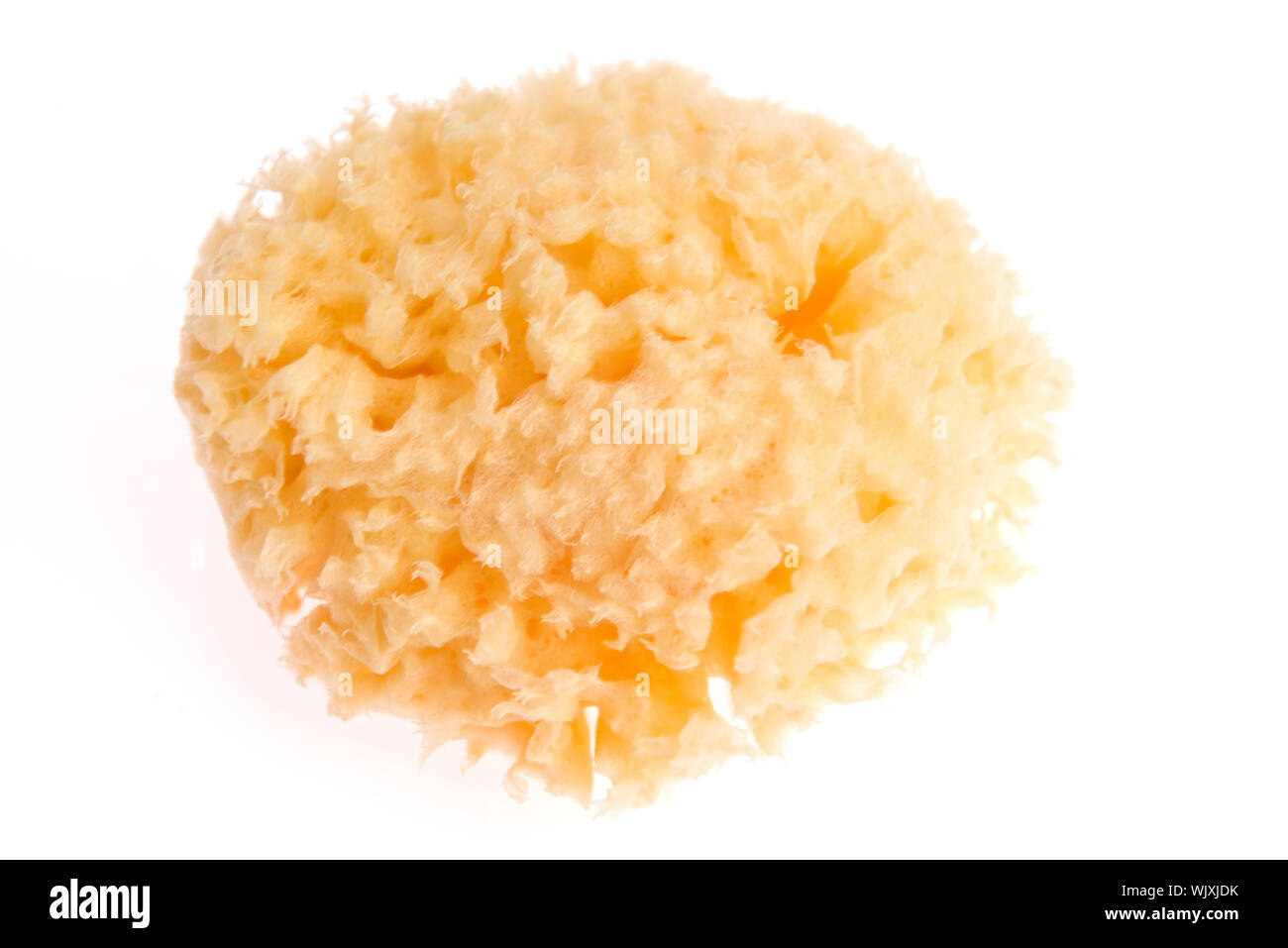 Bath sponge isolated on white background Stock Photo - Alamy