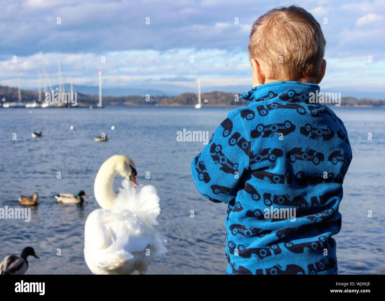 The boy on the swan hi-res stock photography and images - Alamy