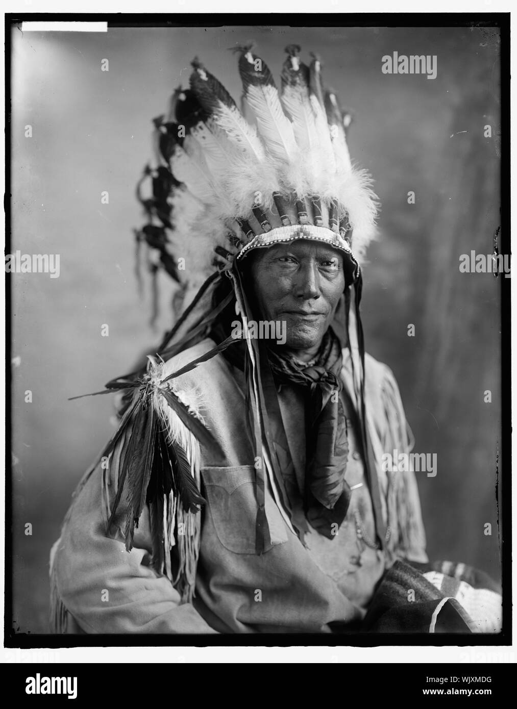 Porcupine tribe hi-res stock photography and images - Alamy