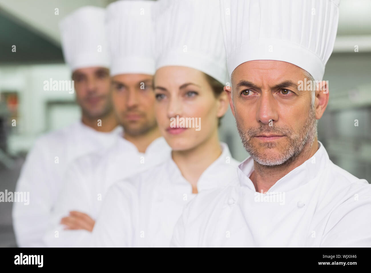 Serious team of chefs standing in line in a commercial kitchen Stock ...