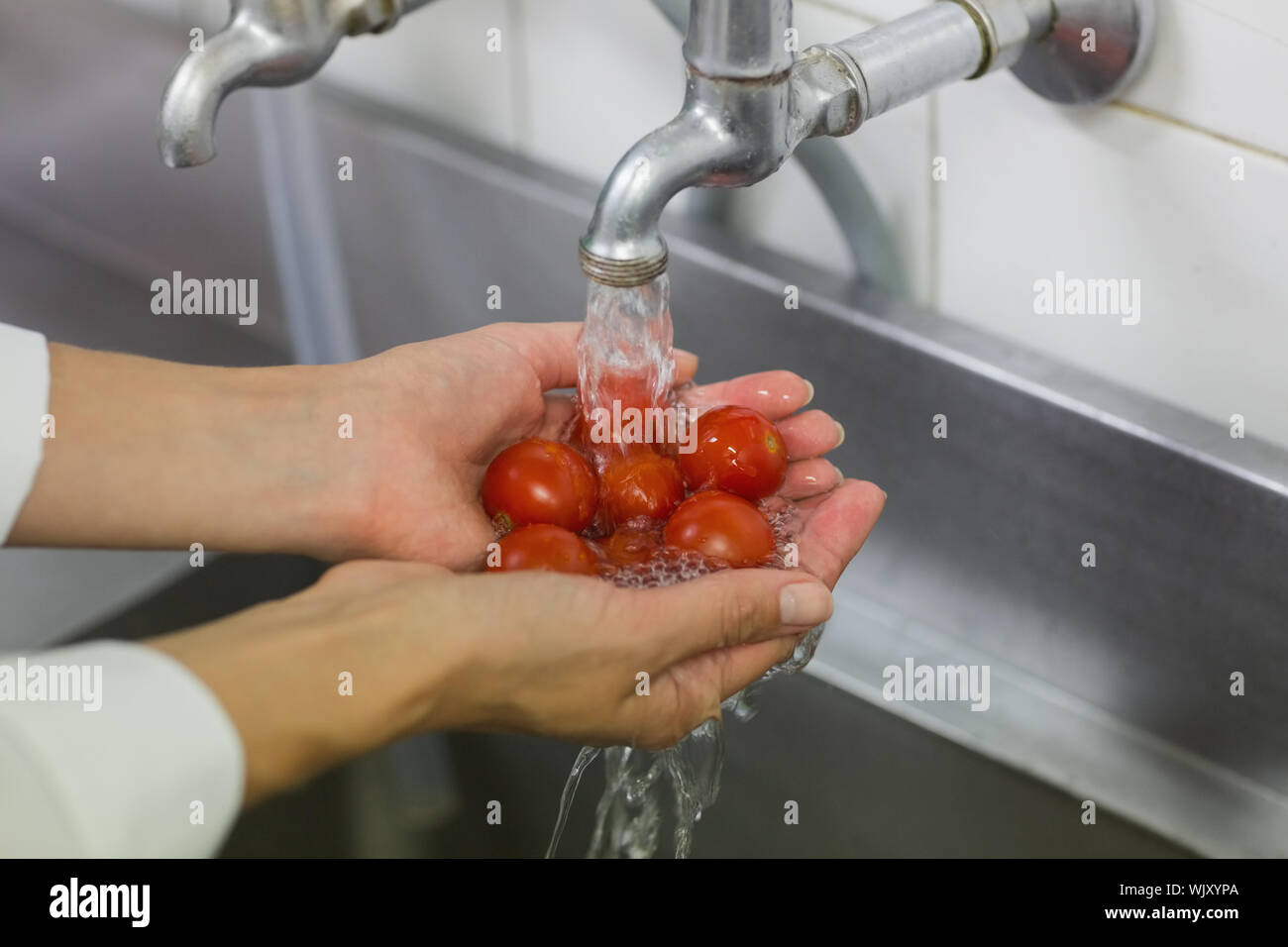 Chef washing cherry tomatoes under the tap in a commercial kitchen ...
