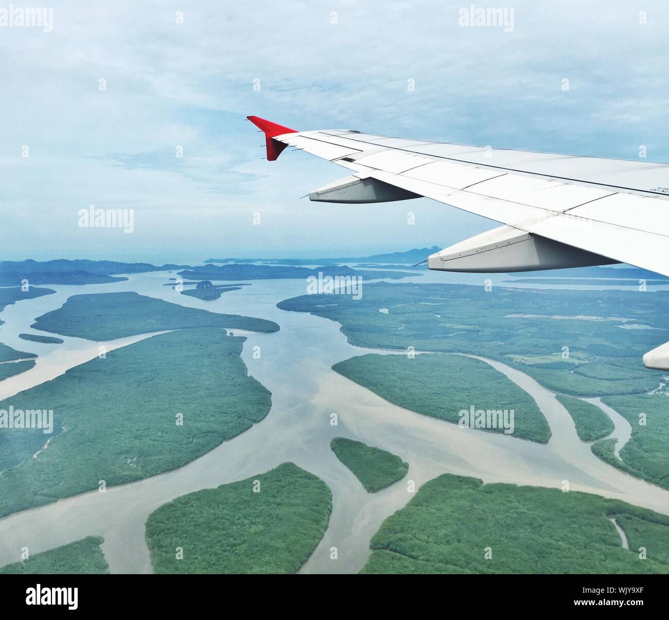 Airplane over forest hi-res stock photography and images - Alamy