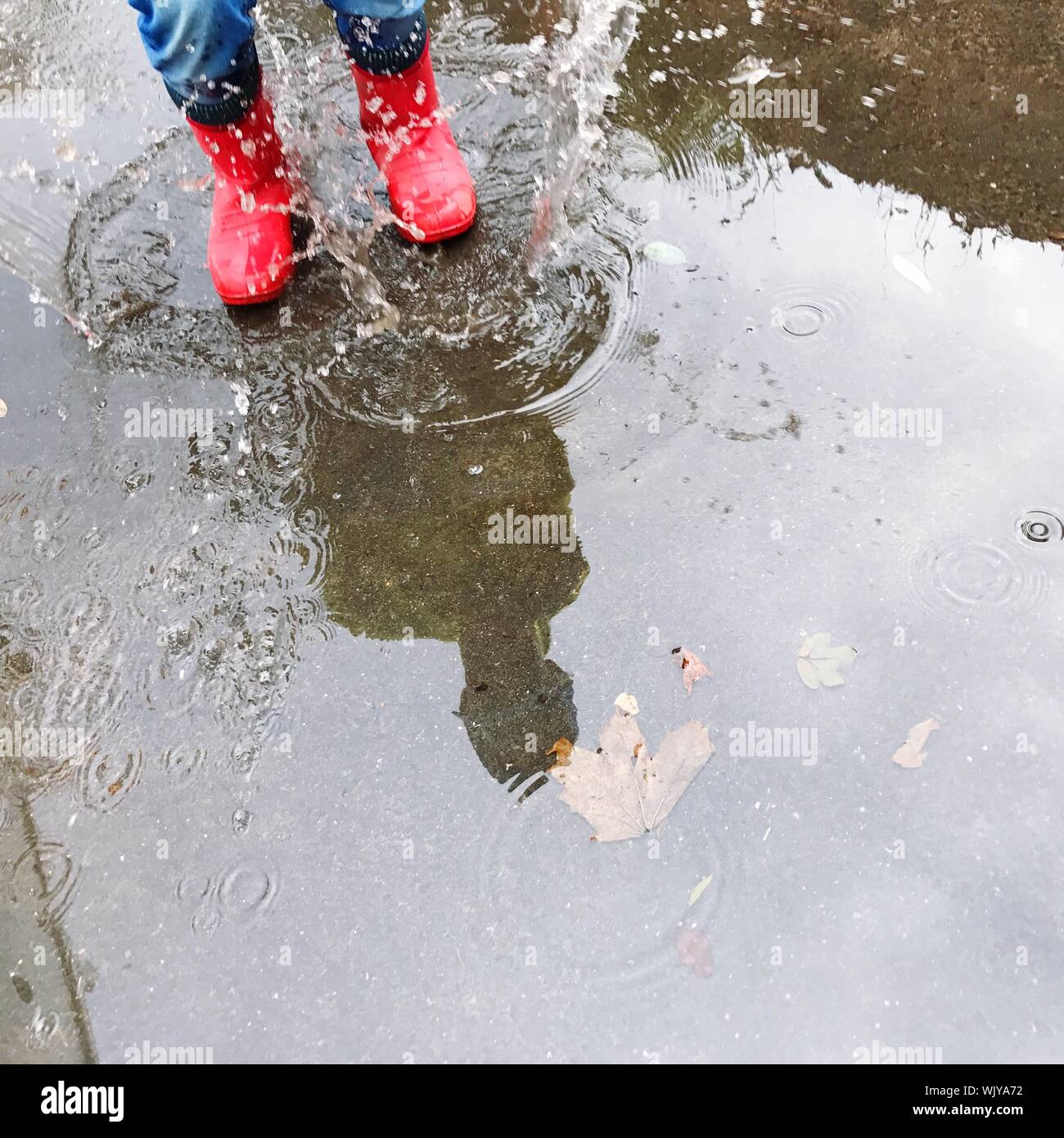 Puddle reflection child hi-res stock photography and images - Alamy