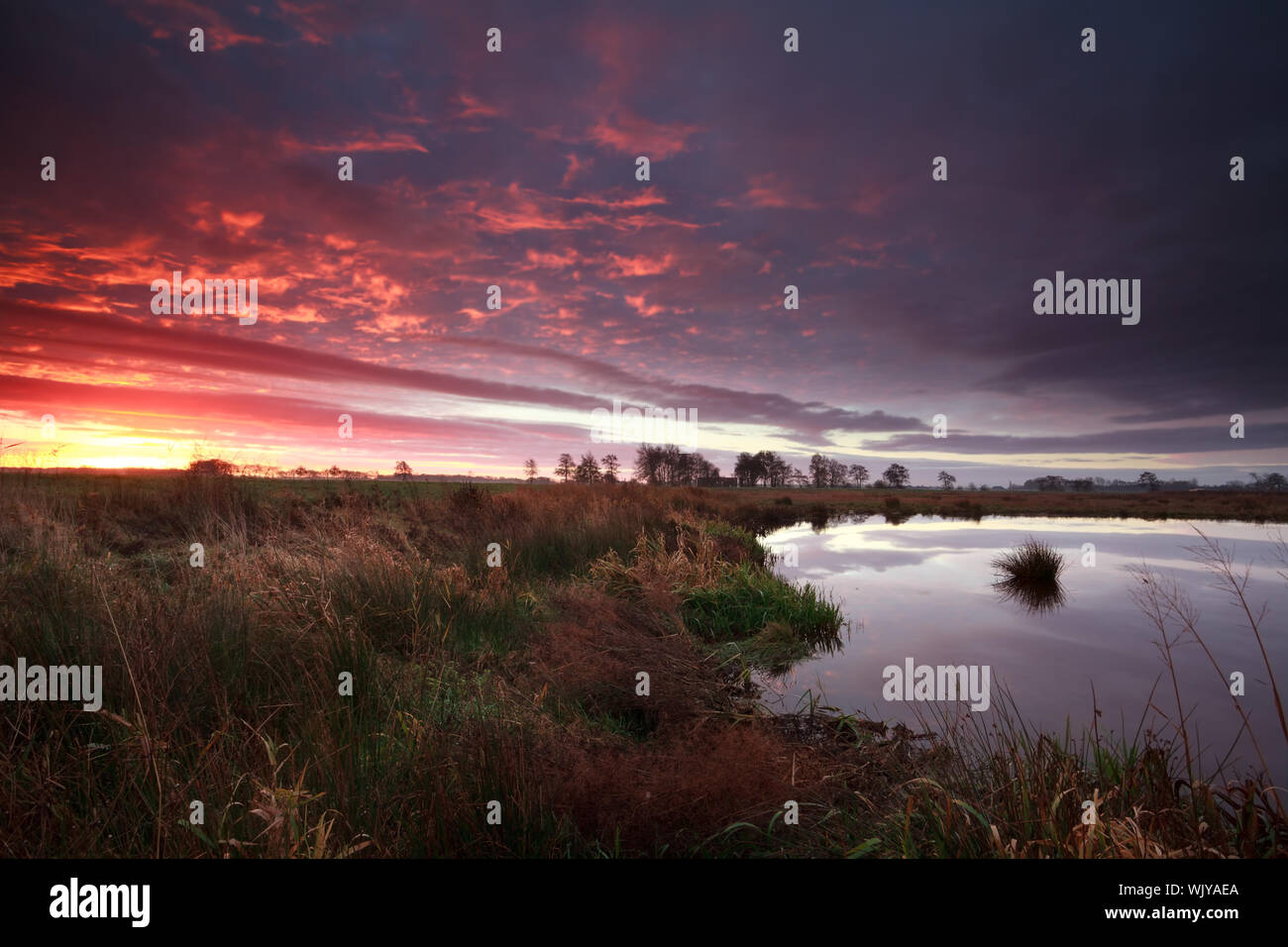dramatic sunrise over swamp, Onlanden, Drenthe, Netherlands Stock Photo ...