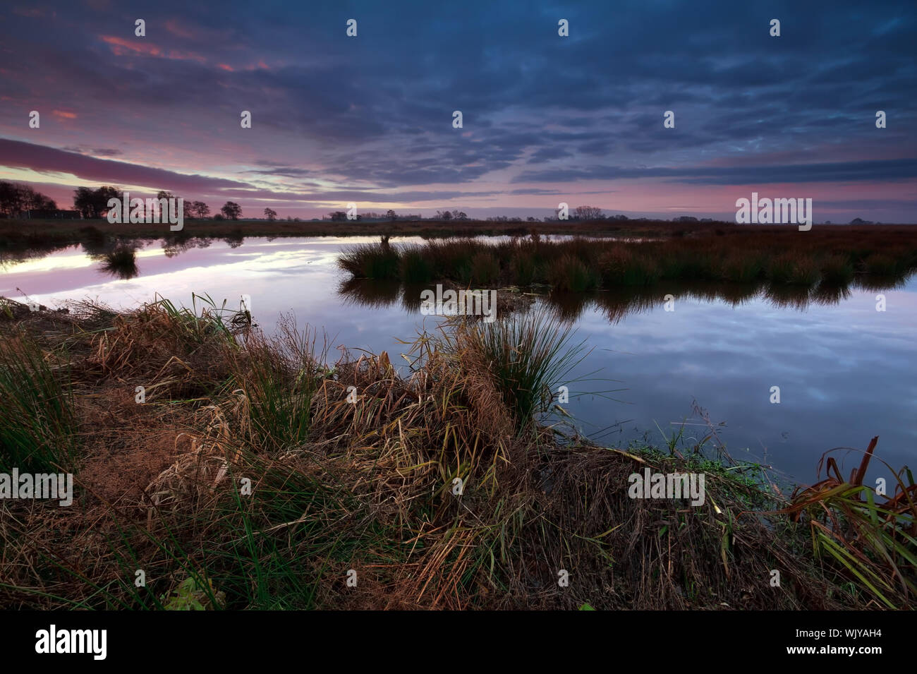 beautiful sunrise over swamp, Onlanden, Drenthe, Netherlands Stock ...
