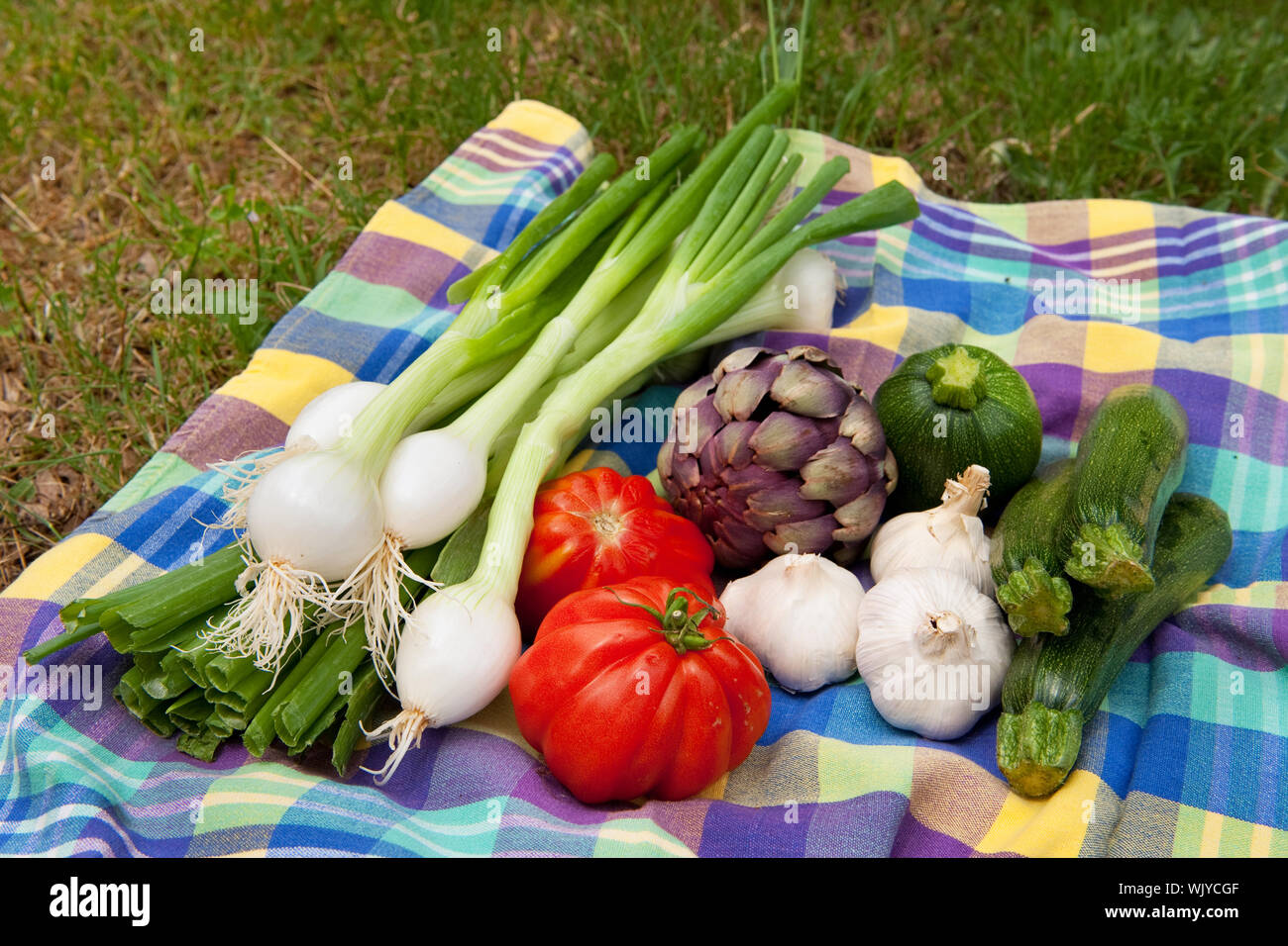 Many fresh vegetables in a rural still life outdoor Stock Photo - Alamy