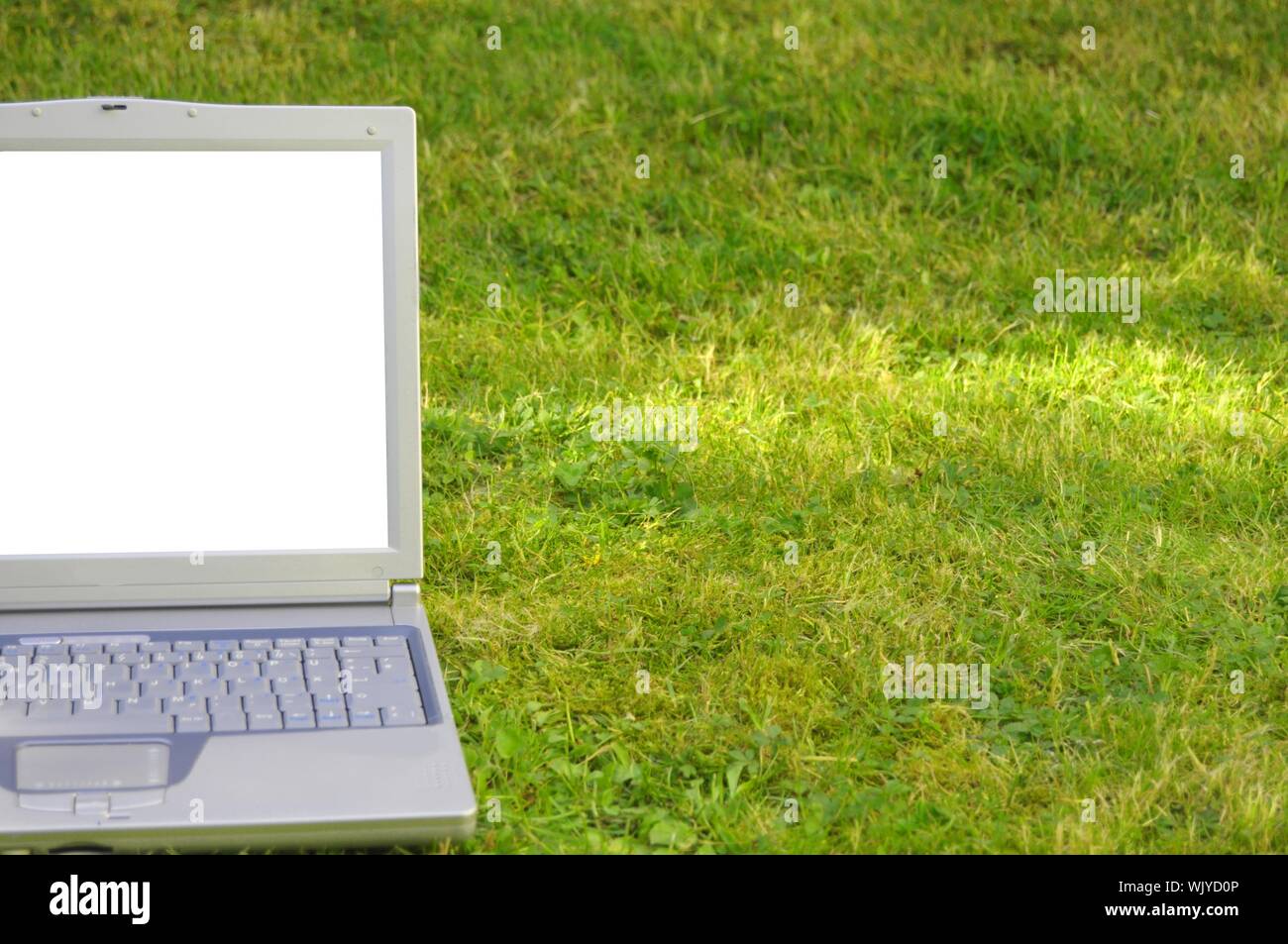 laptopn in green grass with blank or empty screen for copyspace Stock ...