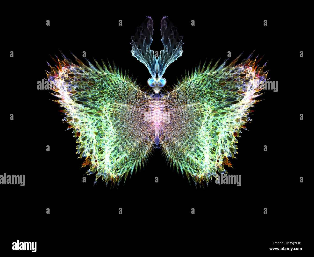 Never Were Butterflies series. Composition of isolated butterfly ...