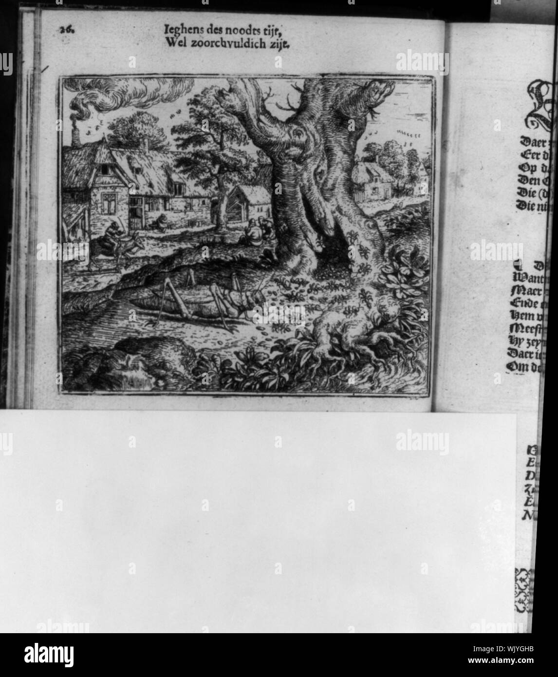 Illus. of Aesop's fable of the grasshopper and the ant Stock Photo - Alamy