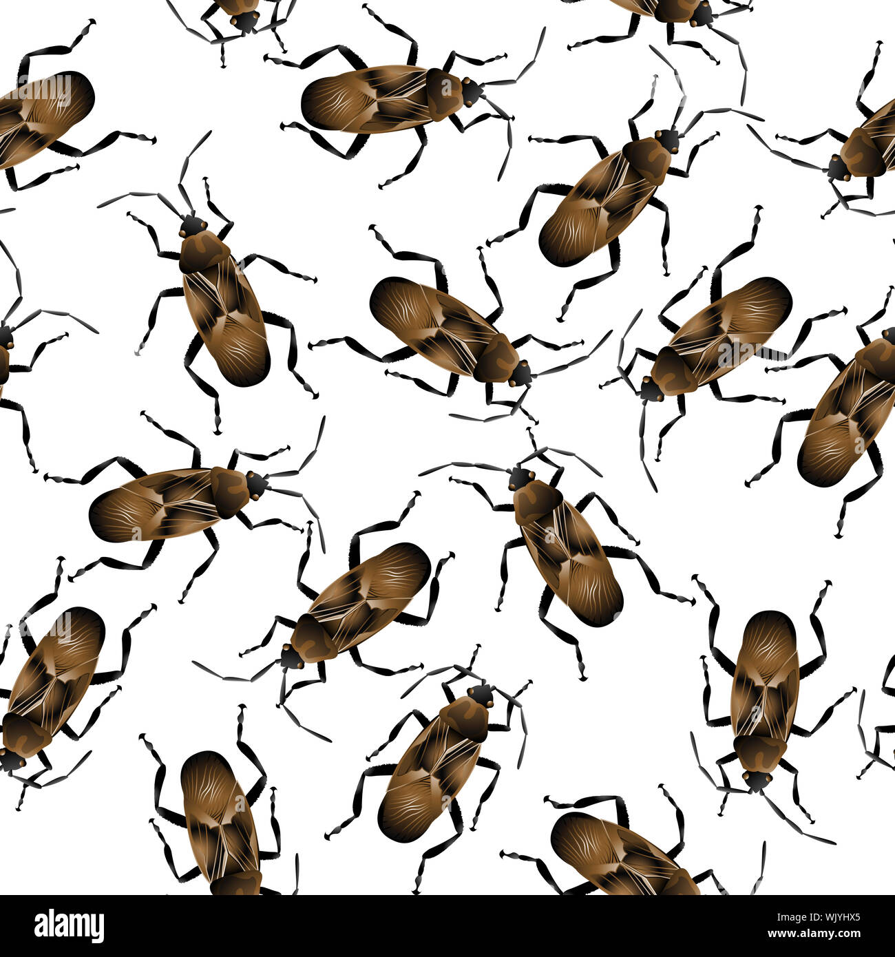 Background with crawling cockroaches. Pattern Stock Photo - Alamy