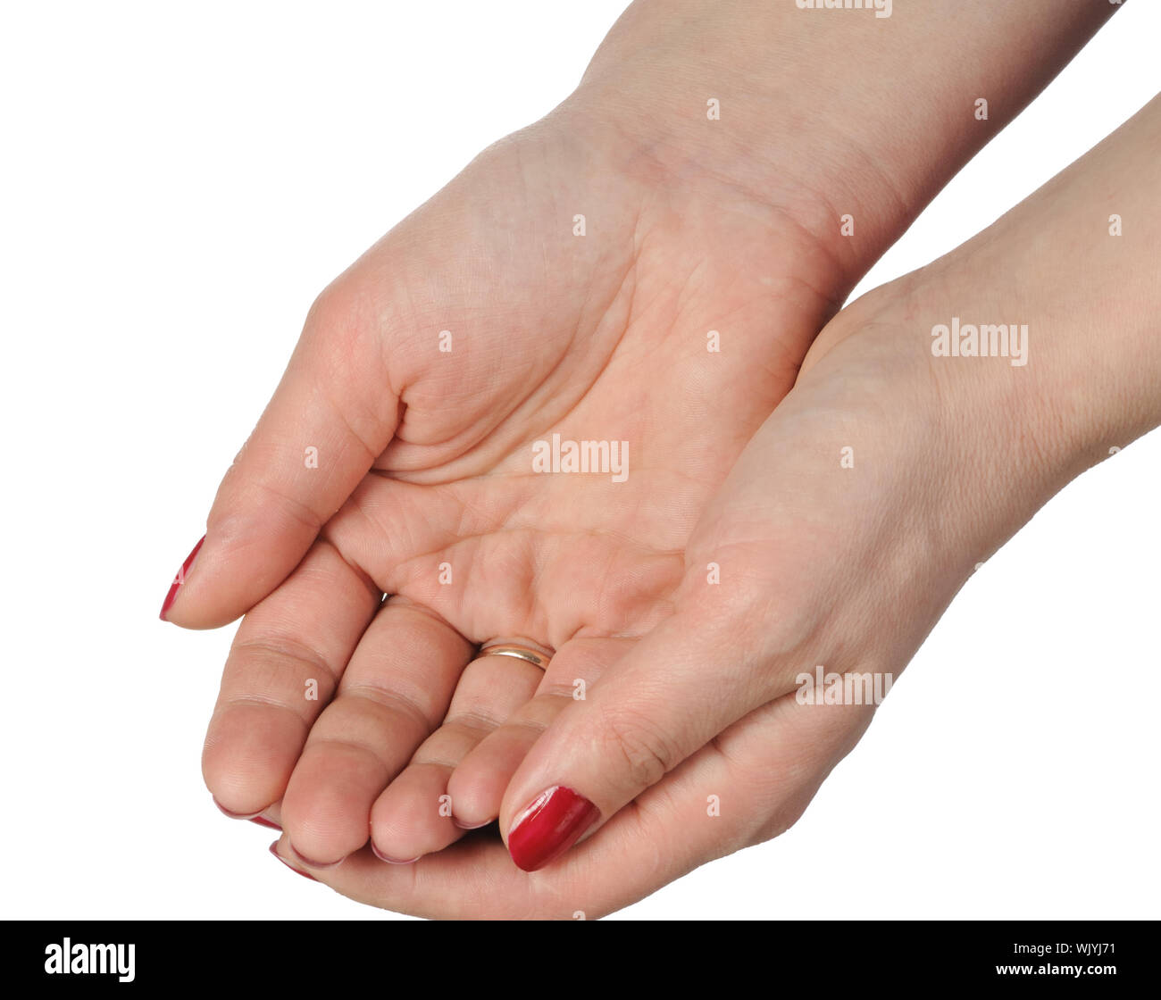 Female palms isolated on white background Stock Photo - Alamy