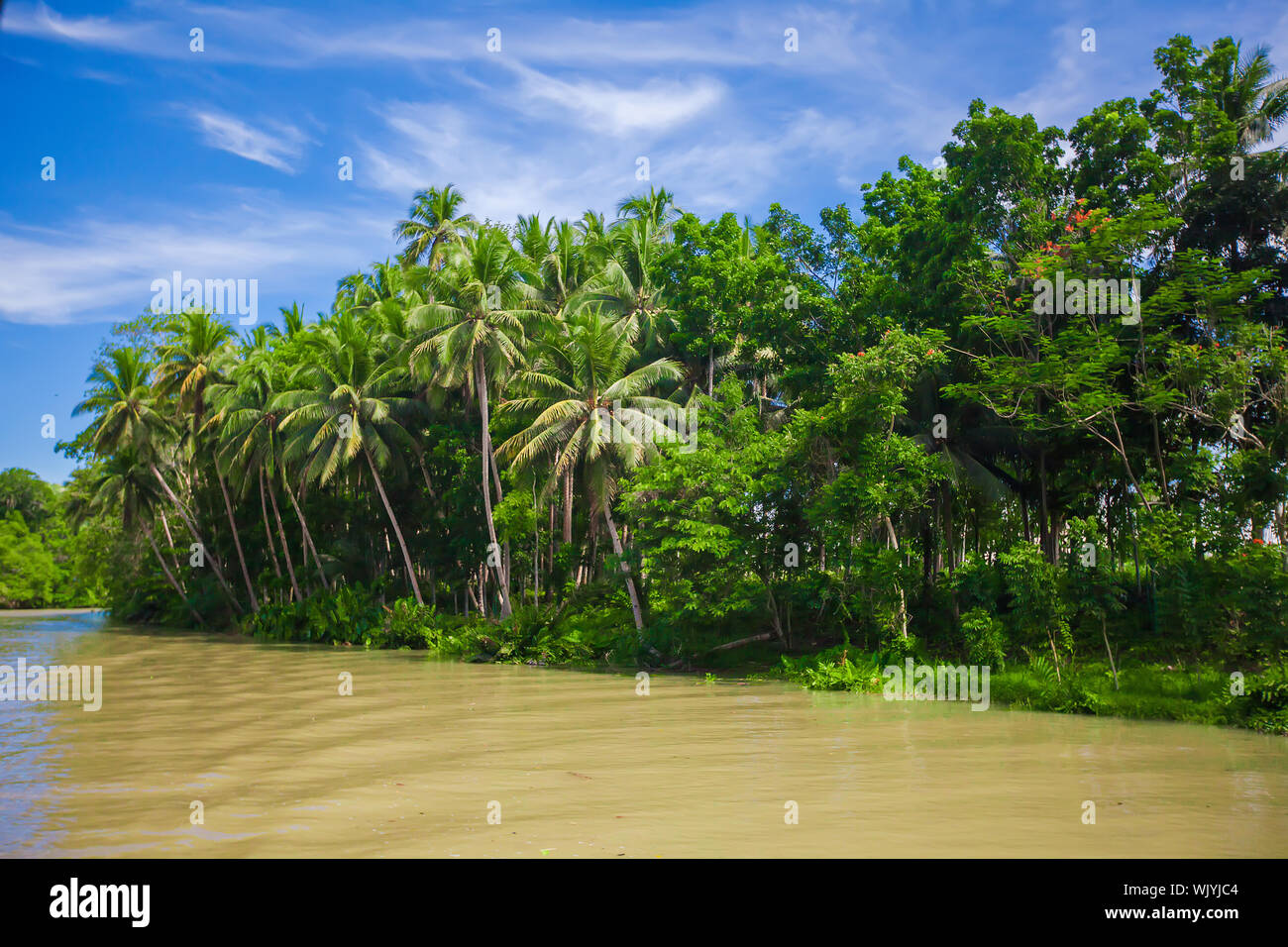 Tropical Loboc river at the island Bohol in the Philippines Stock Photo ...