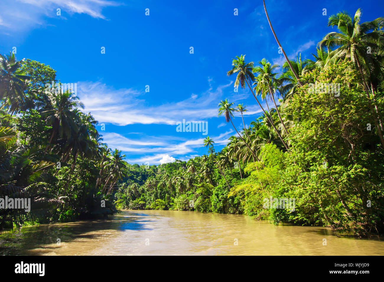 Tropical Loboc river at the island Bohol in the Philippines Stock Photo ...