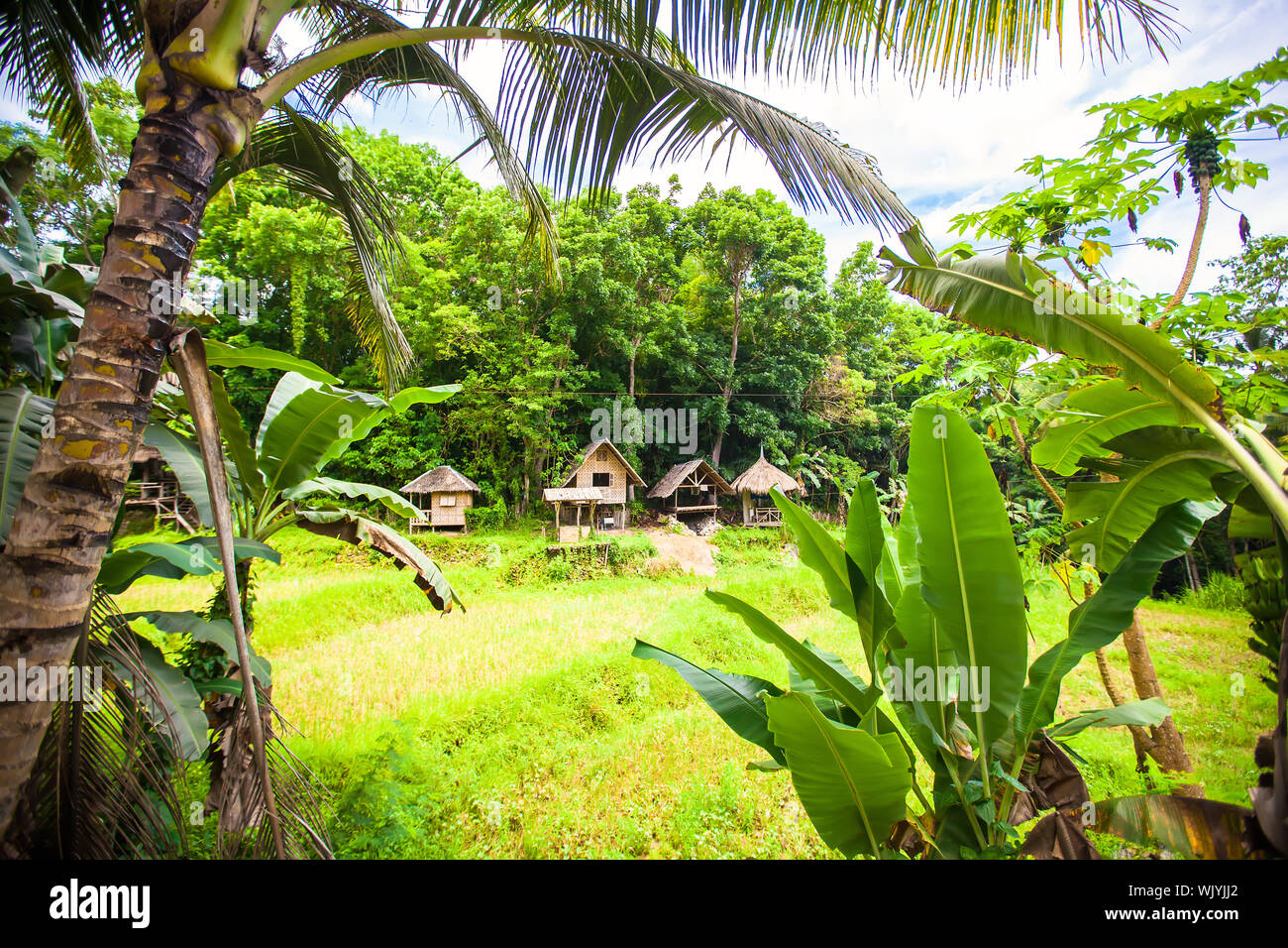 Philippine traditional village Stock Photo - Alamy