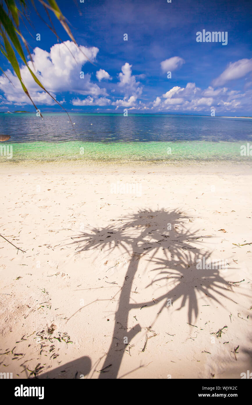 Beautiful wild white beach at remote tropical island, Philippines Stock ...