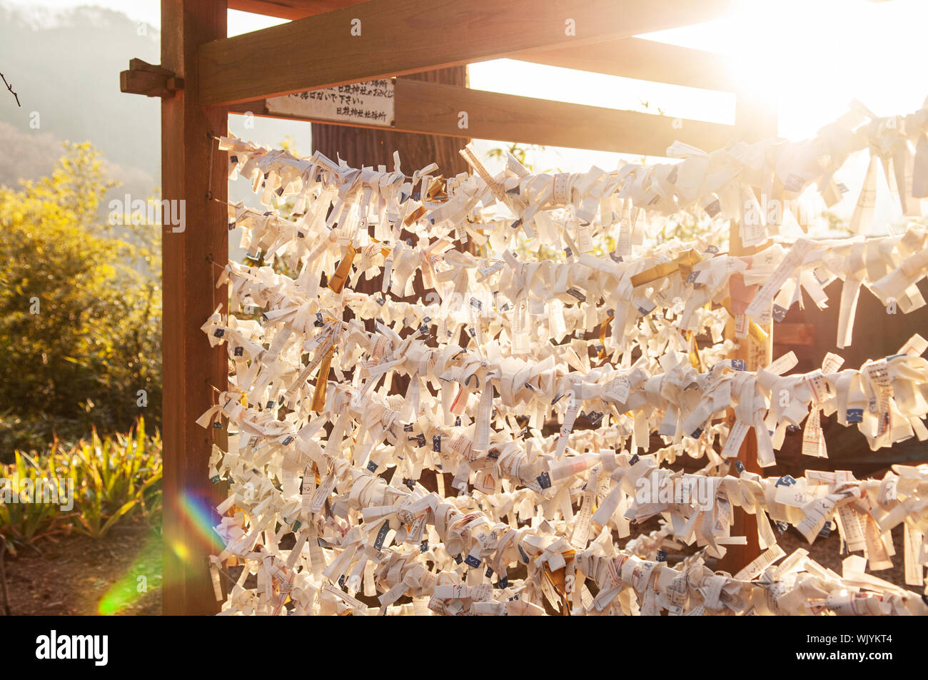 DEC 3, 2018 Yamagata, Japan - Omikuji Japan fortune paper strips tie on ...