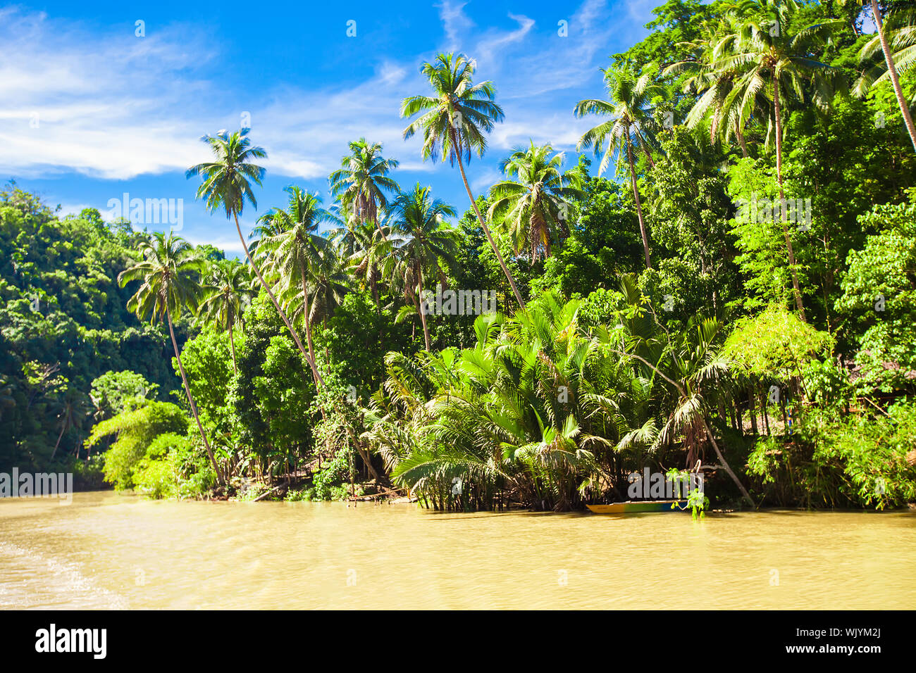 Loboc river and jungle at the island Bohol in Philippines Stock Photo ...