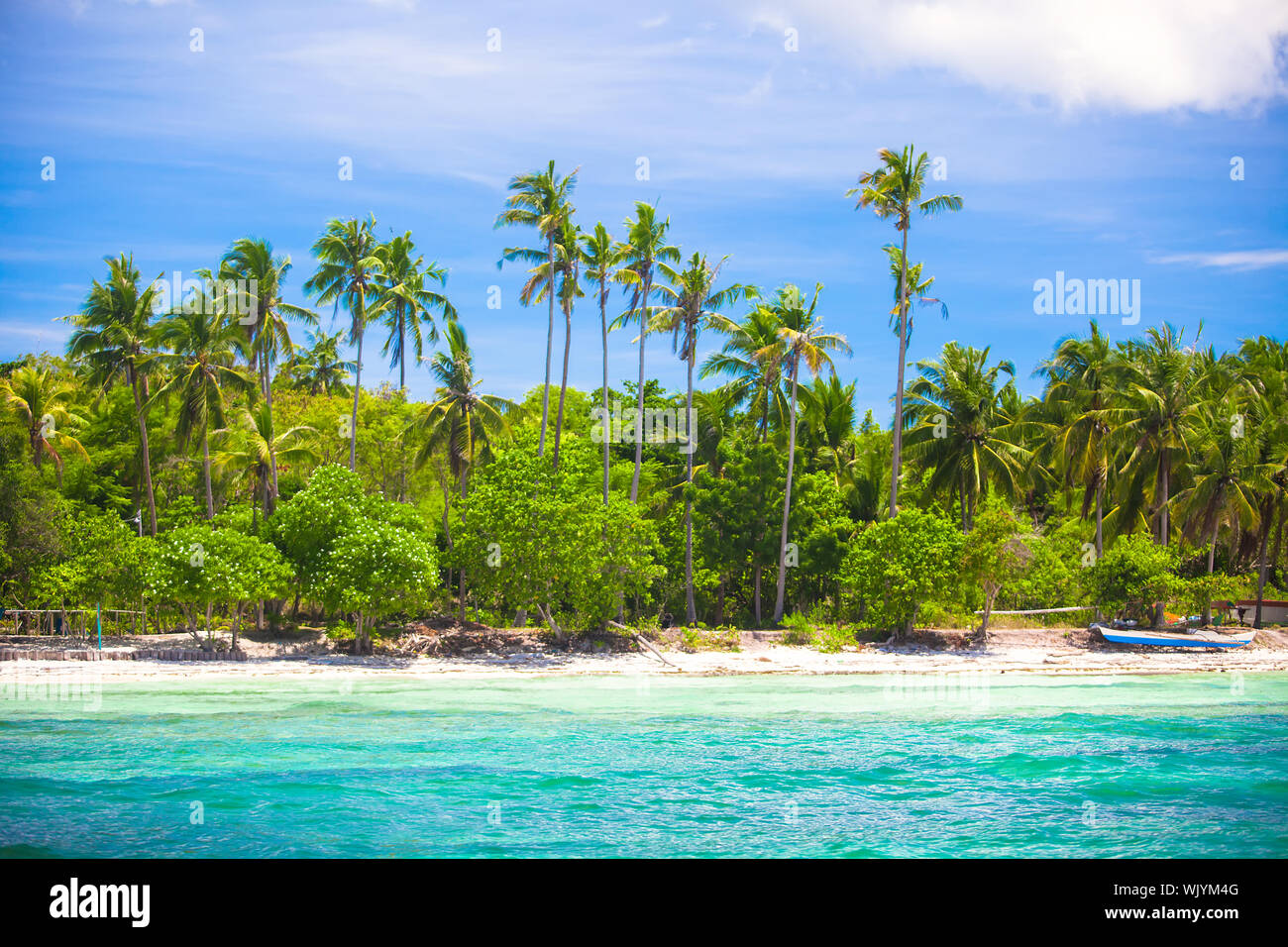 Landscape of tropical island beach with perfect blue sky in Bohol ...