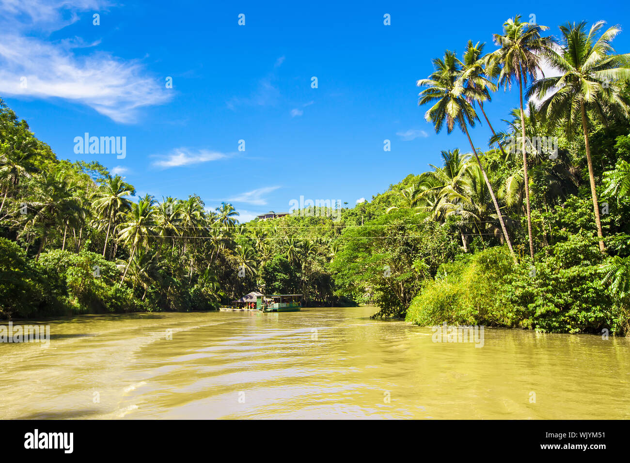 Tropical Loboc river with palm trees on both shores Stock Photo - Alamy