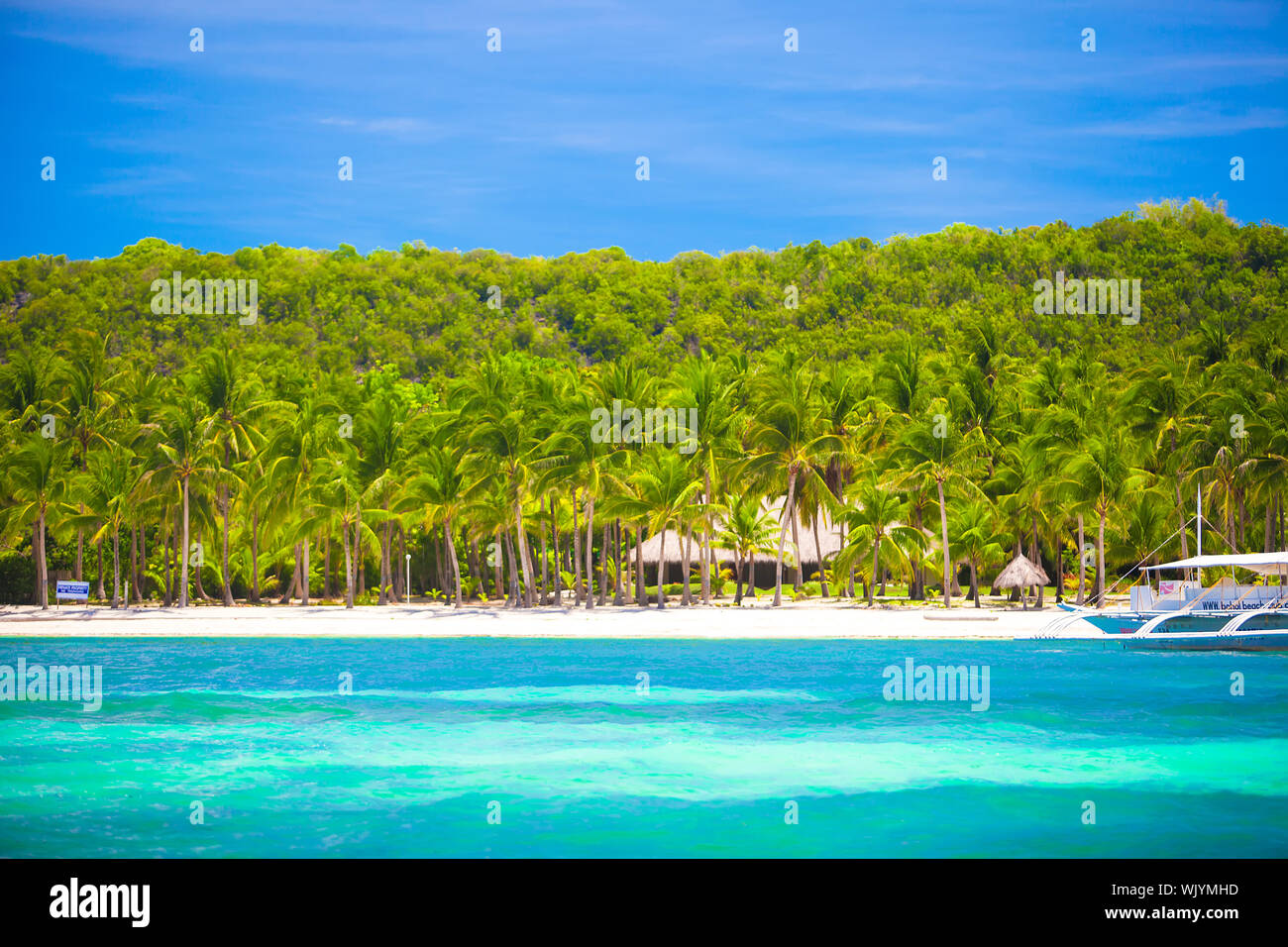 Landscape of tropical island beach with perfect blue sky in Bohol ...