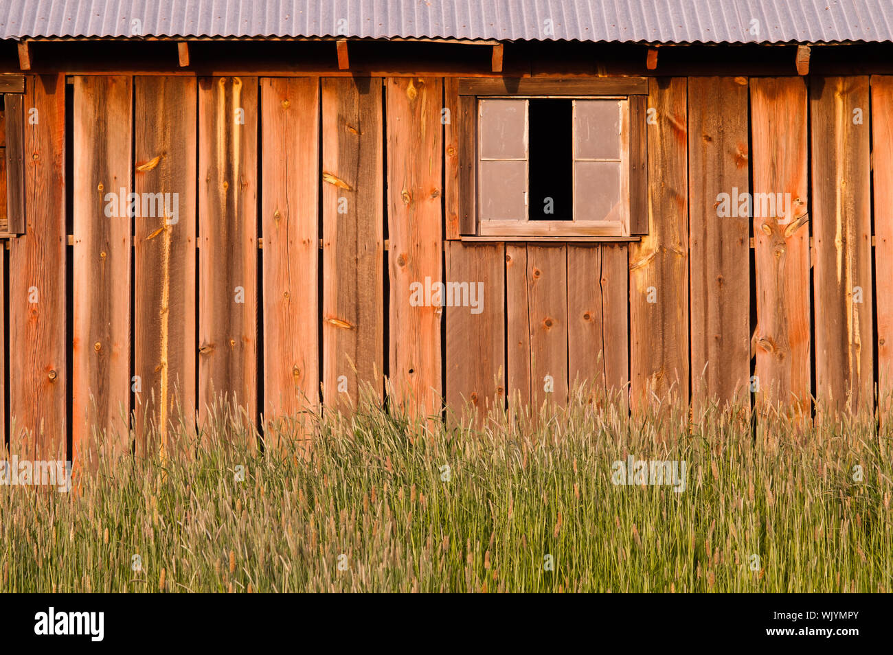 Barn wood wall green farm field Stock Photo - Alamy
