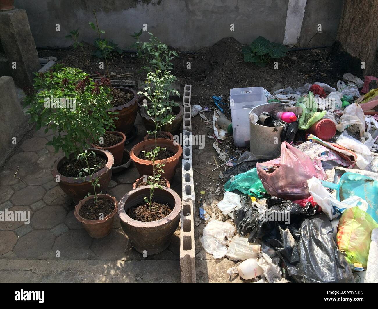 Garbage Yard High Resolution Stock Photography and Images - Alamy