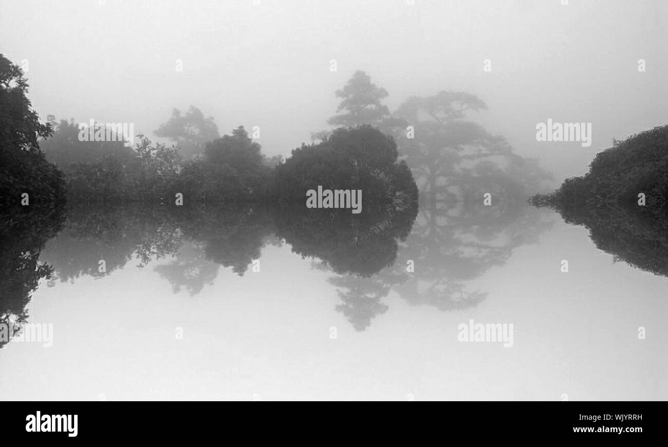 Mist moving on water surface hi-res stock photography and images - Alamy