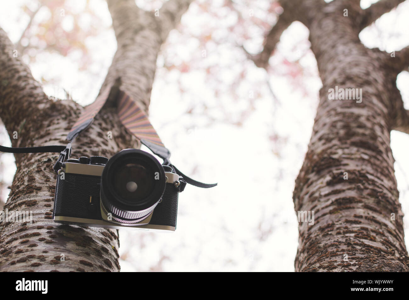 Low angle camera view hi-res stock photography and images - Alamy