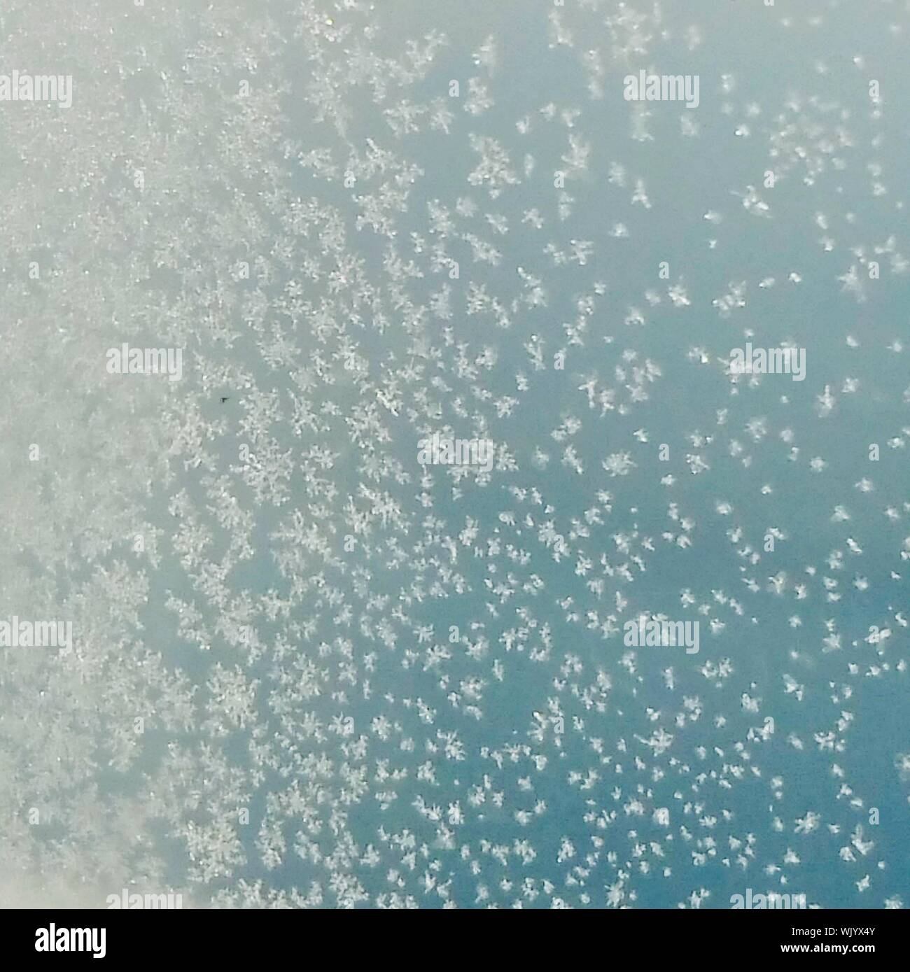 Frosted white glass hi-res stock photography and images - Alamy