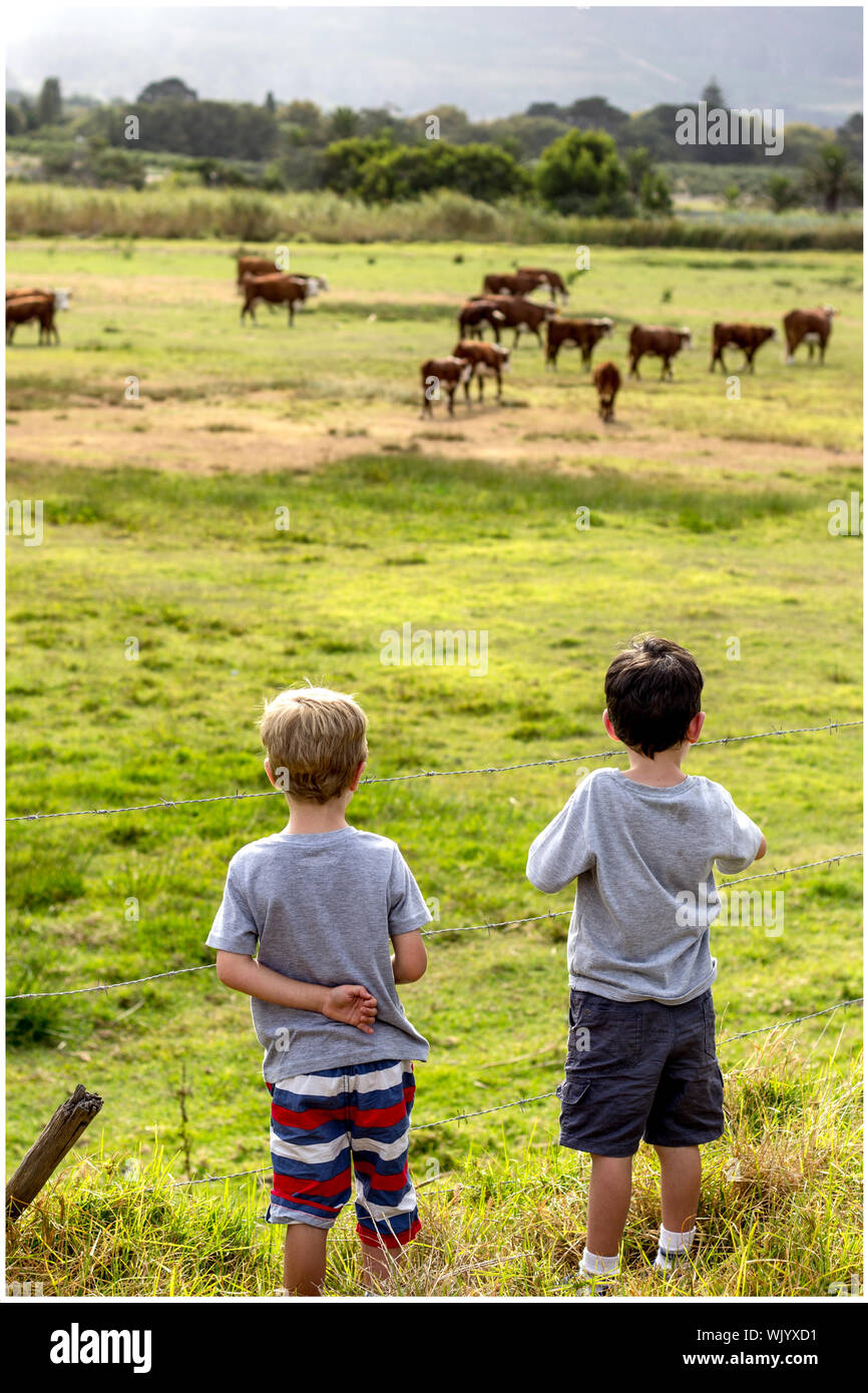 Children farm animals fence hi-res stock photography and images - Alamy