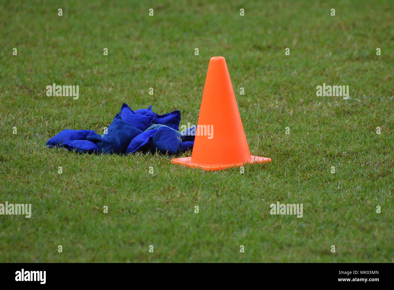 Blue grass field hi-res stock photography and images - Alamy