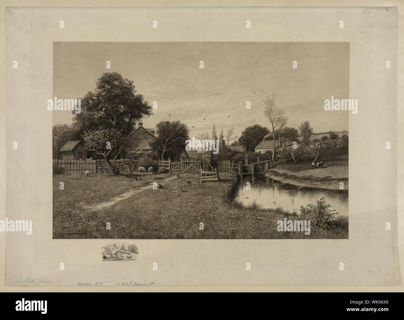 In early June Stock Photo - Alamy