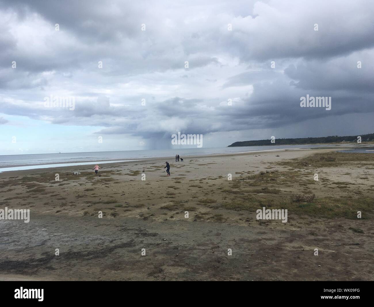 Family distant hi-res stock photography and images - Alamy