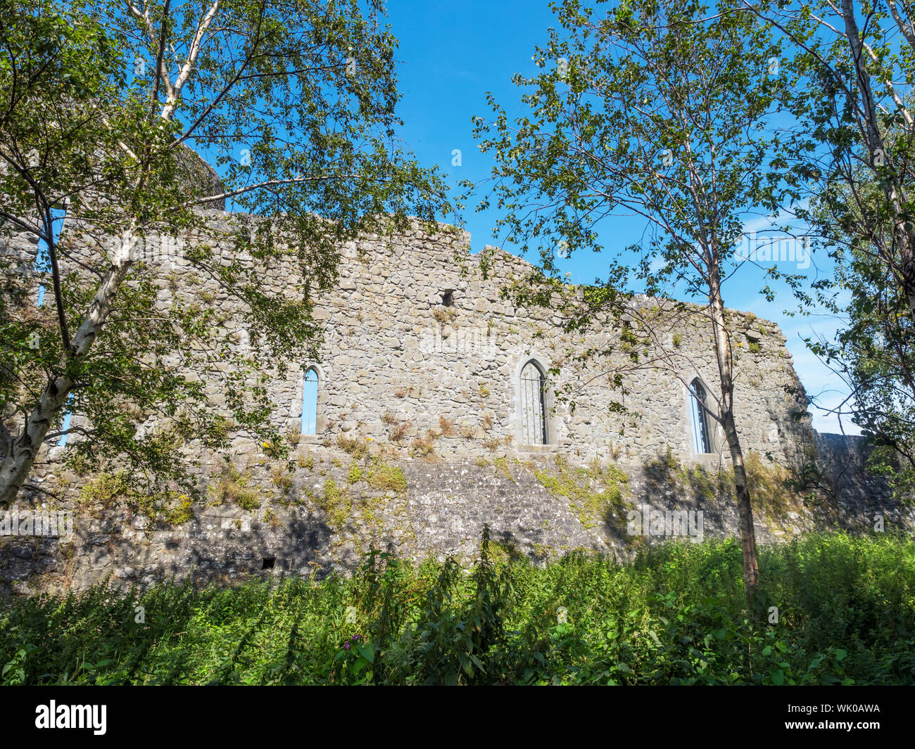 Athenry Castle is a tower house and National Monument located in ...