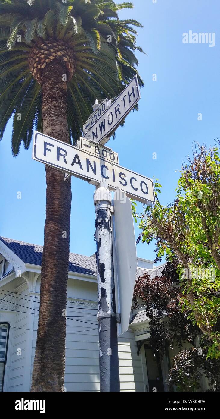 Directional tree hi-res stock photography and images - Alamy