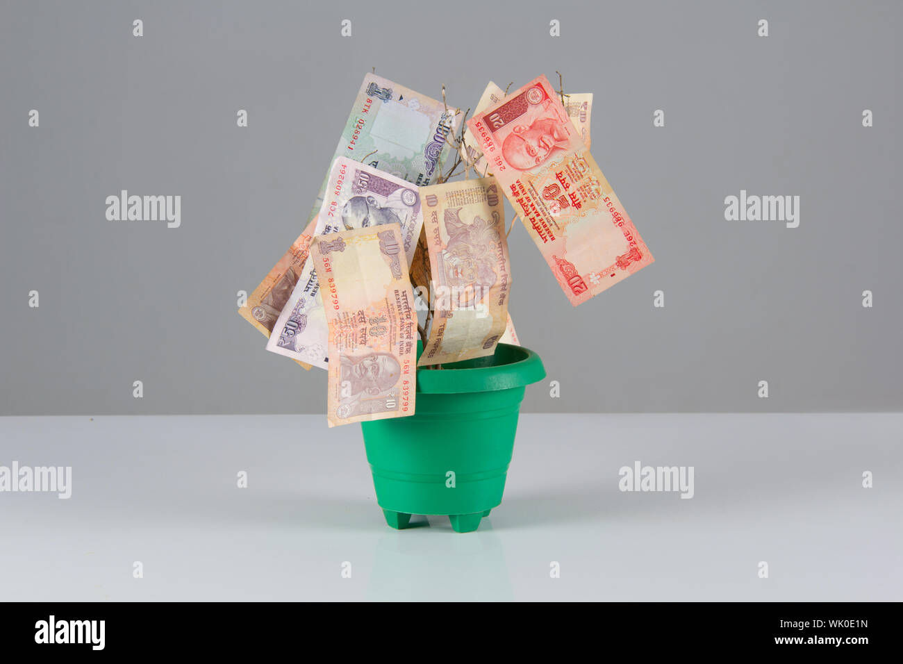 Money growing in a pot Stock Photo - Alamy