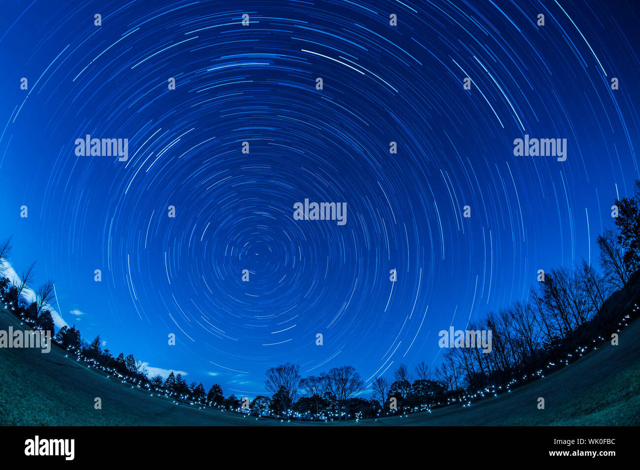 Star fish eye hi-res stock photography and images - Alamy