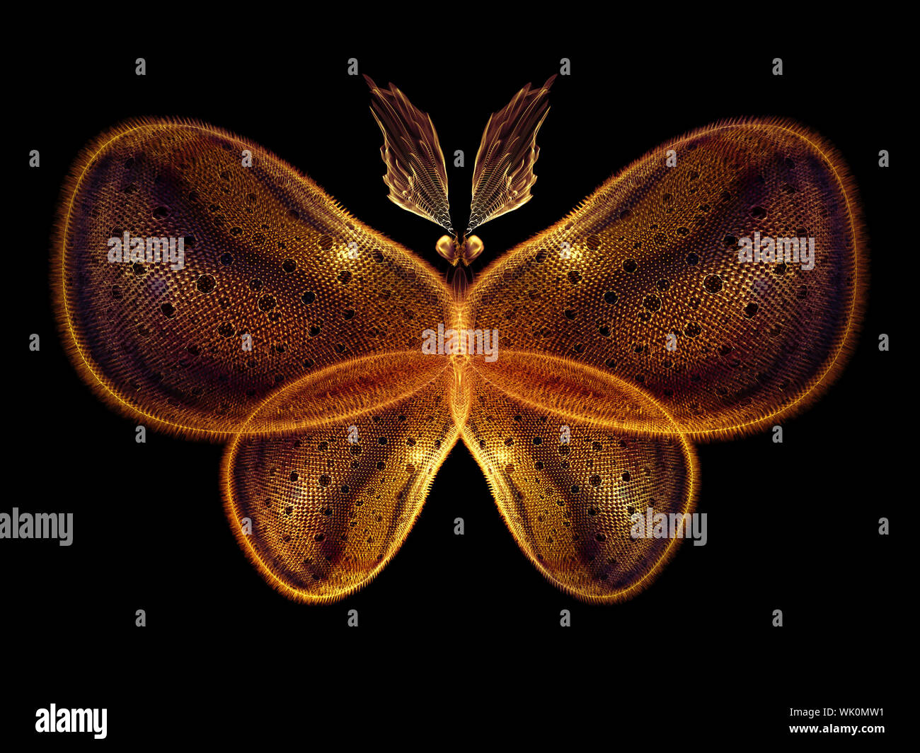 Never Were Butterflies series. Abstract design made of isolated ...