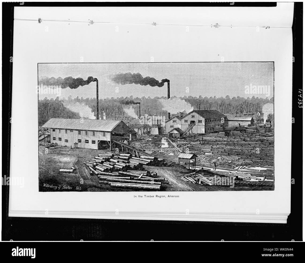 Conservation region Cut Out Stock Images & Pictures - Alamy