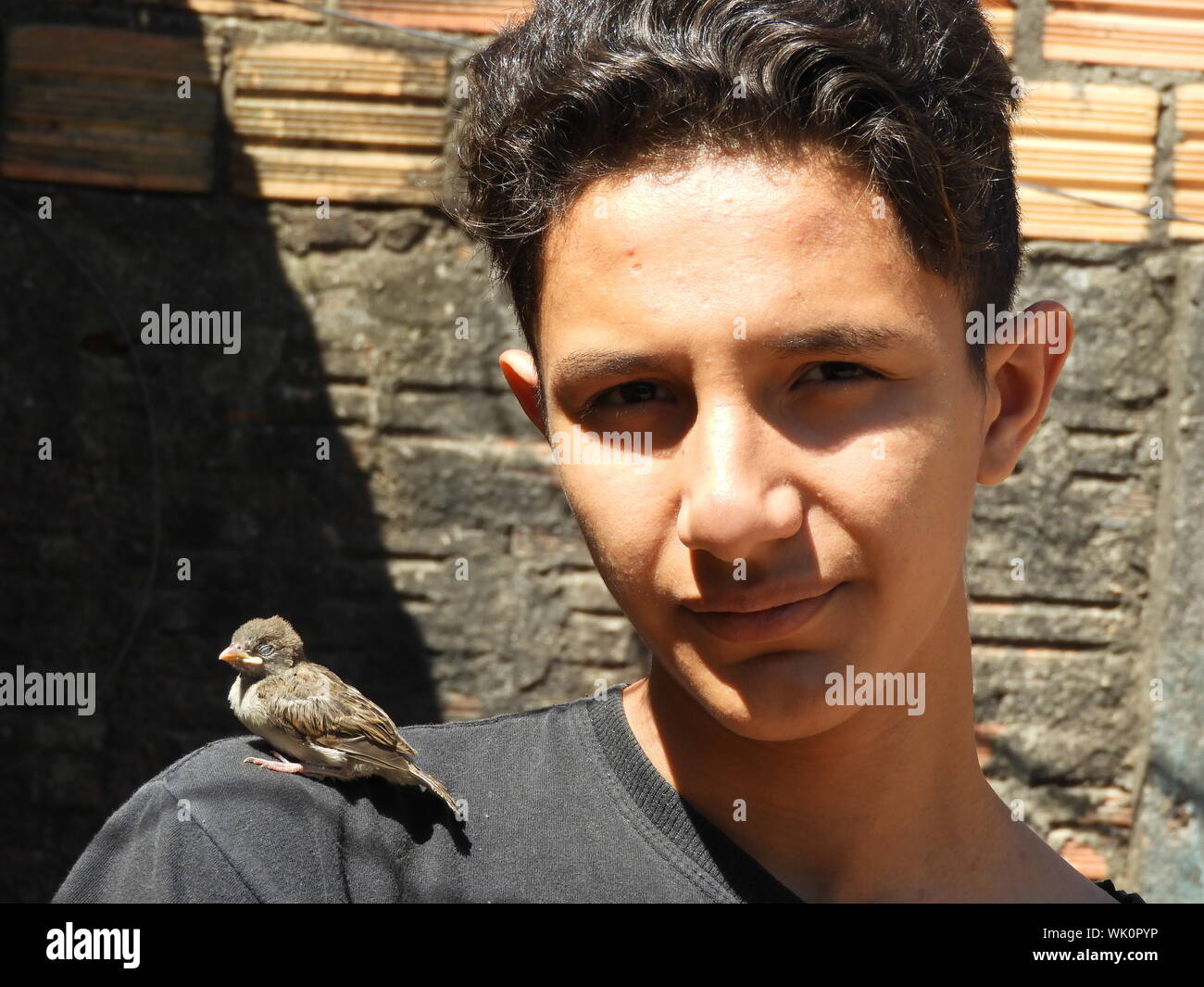 Teenage bird shoulder hi-res stock photography and images - Alamy