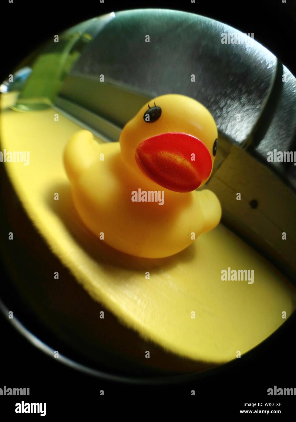 Rubber fish toy hi-res stock photography and images - Alamy