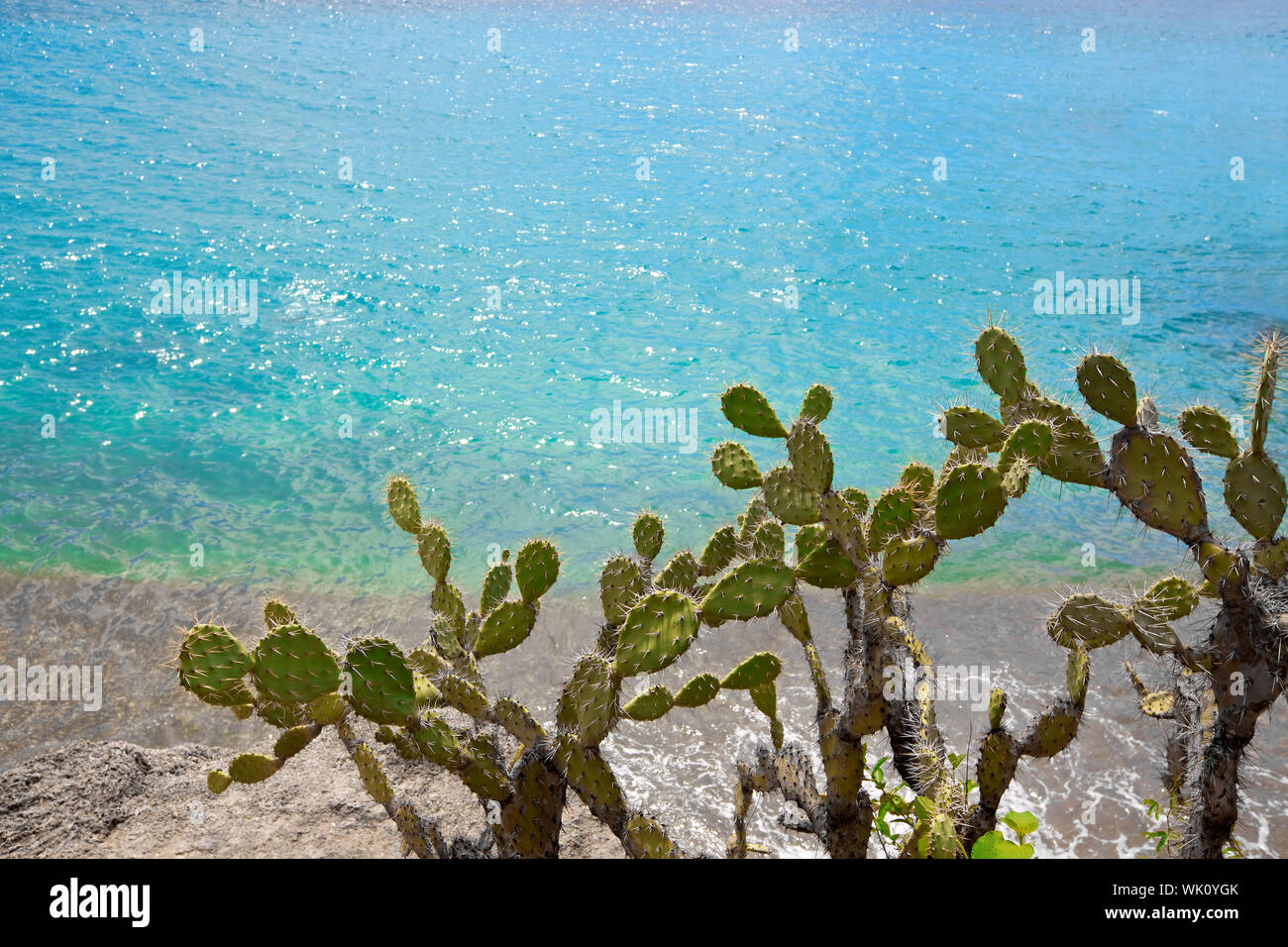 Beautiful landscape on the caribbean island, Curacao Stock Photo - Alamy