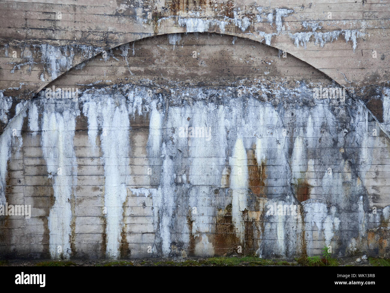 Fragment of the ancient grown moldy concrete building - an arch Stock ...