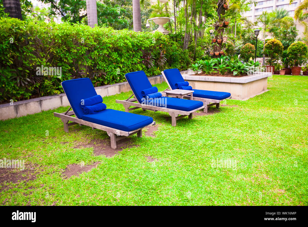 Blue chaise lounges near pool in luxury resort on green grass Stock ...
