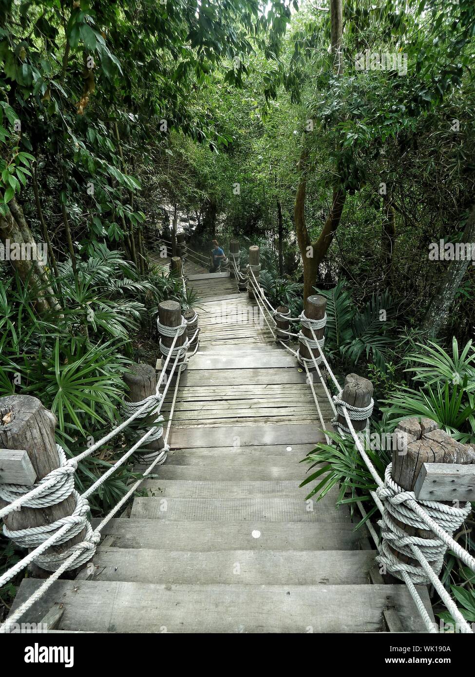 Low Angle View Narrow Stairs High Resolution Stock Photography and ...