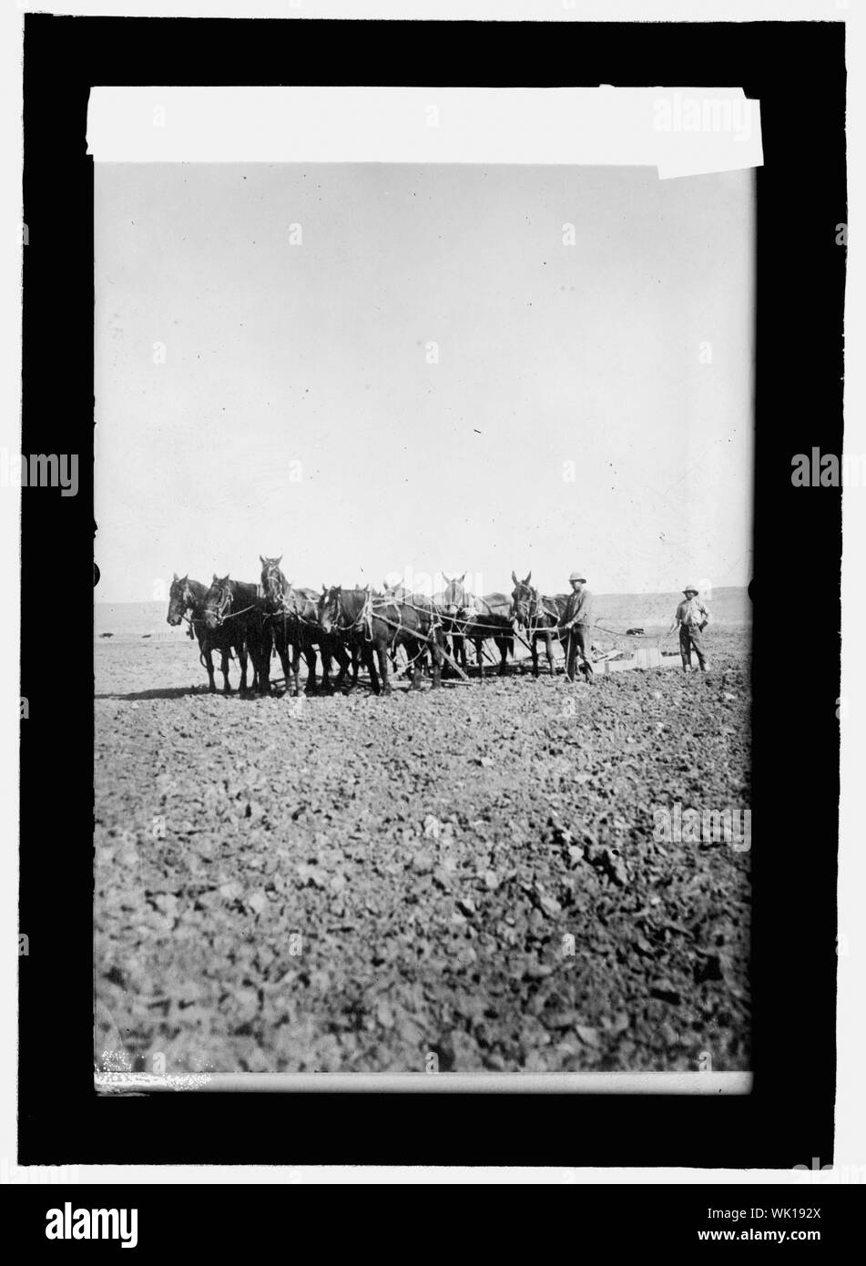 Indian farming diversity hi-res stock photography and images - Alamy