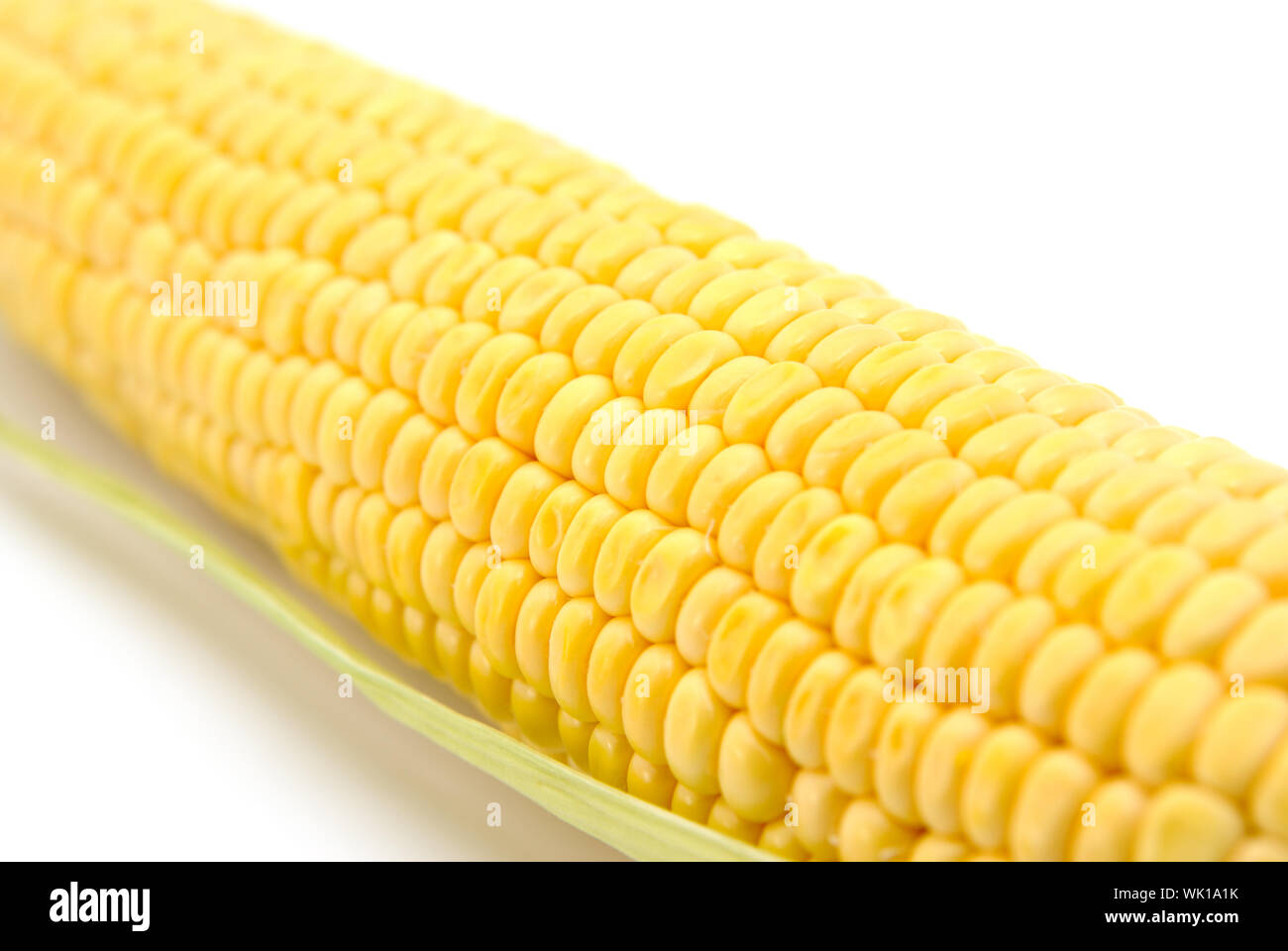 Corn on the cob isolated on white background Stock Photo - Alamy