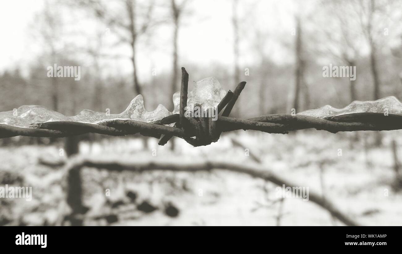 Barricade wire hi-res stock photography and images - Alamy