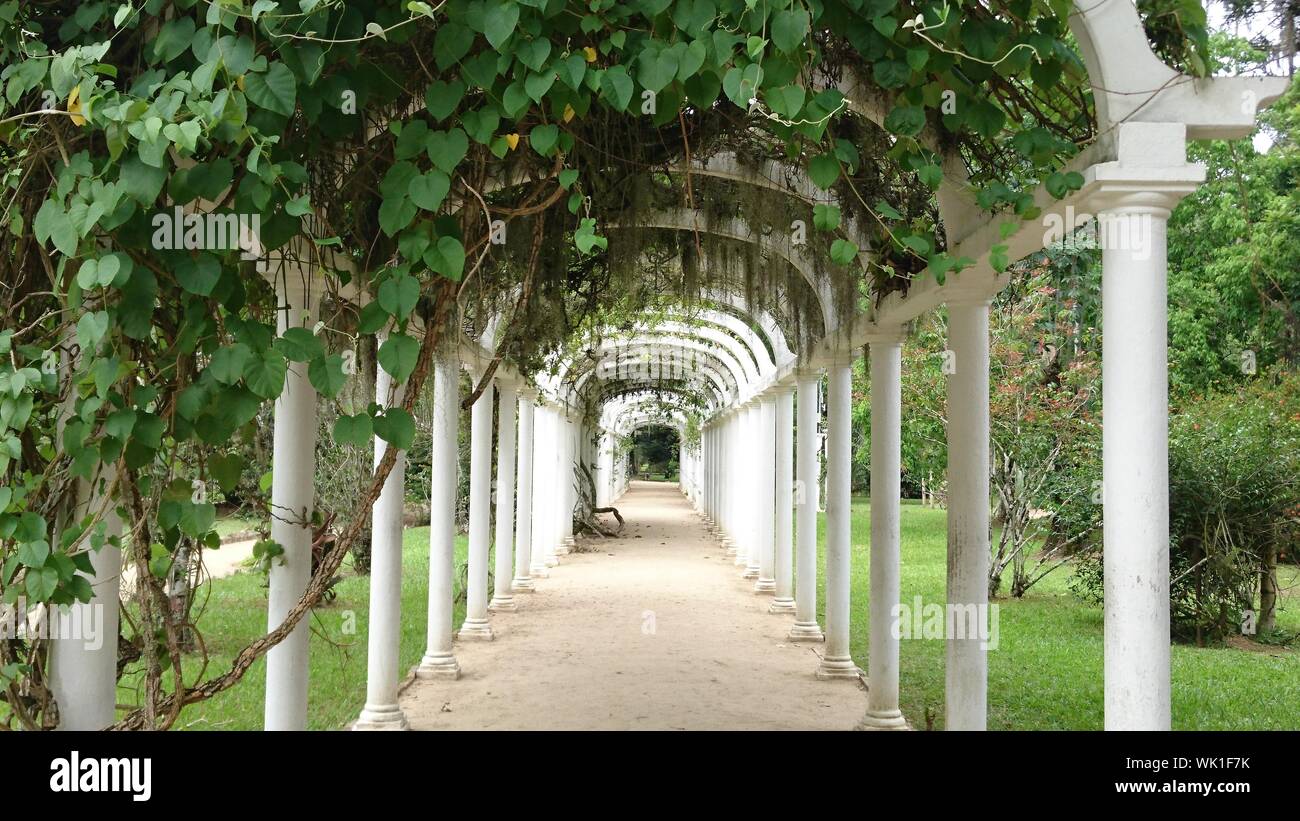 Canopy park hi-res stock photography and images - Alamy